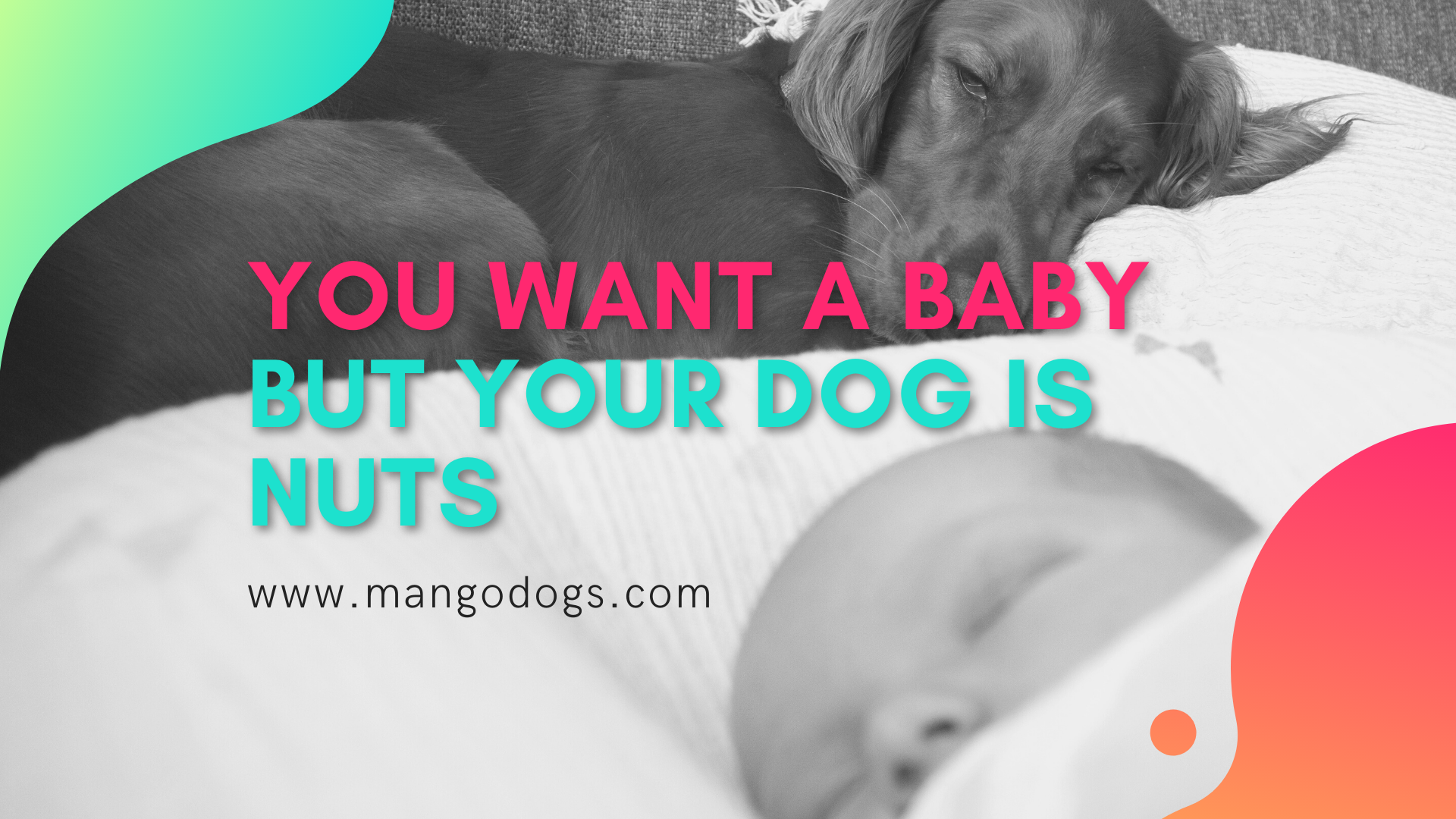 You Want To Have A Baby But Your Dog Is Nuts